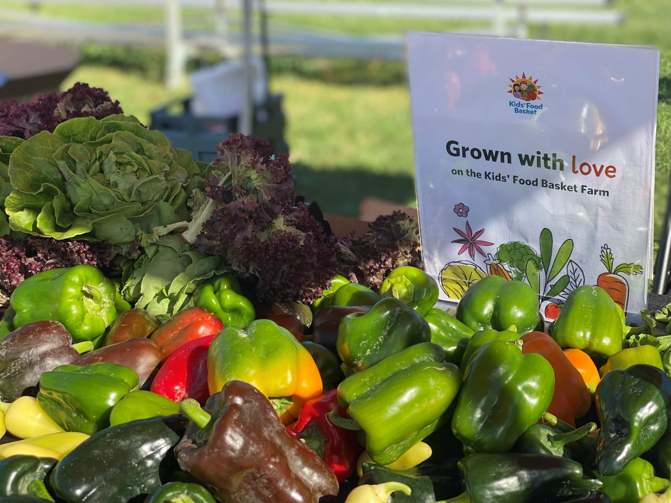 Doubling Up on Community Impact - Kids Food Basket
